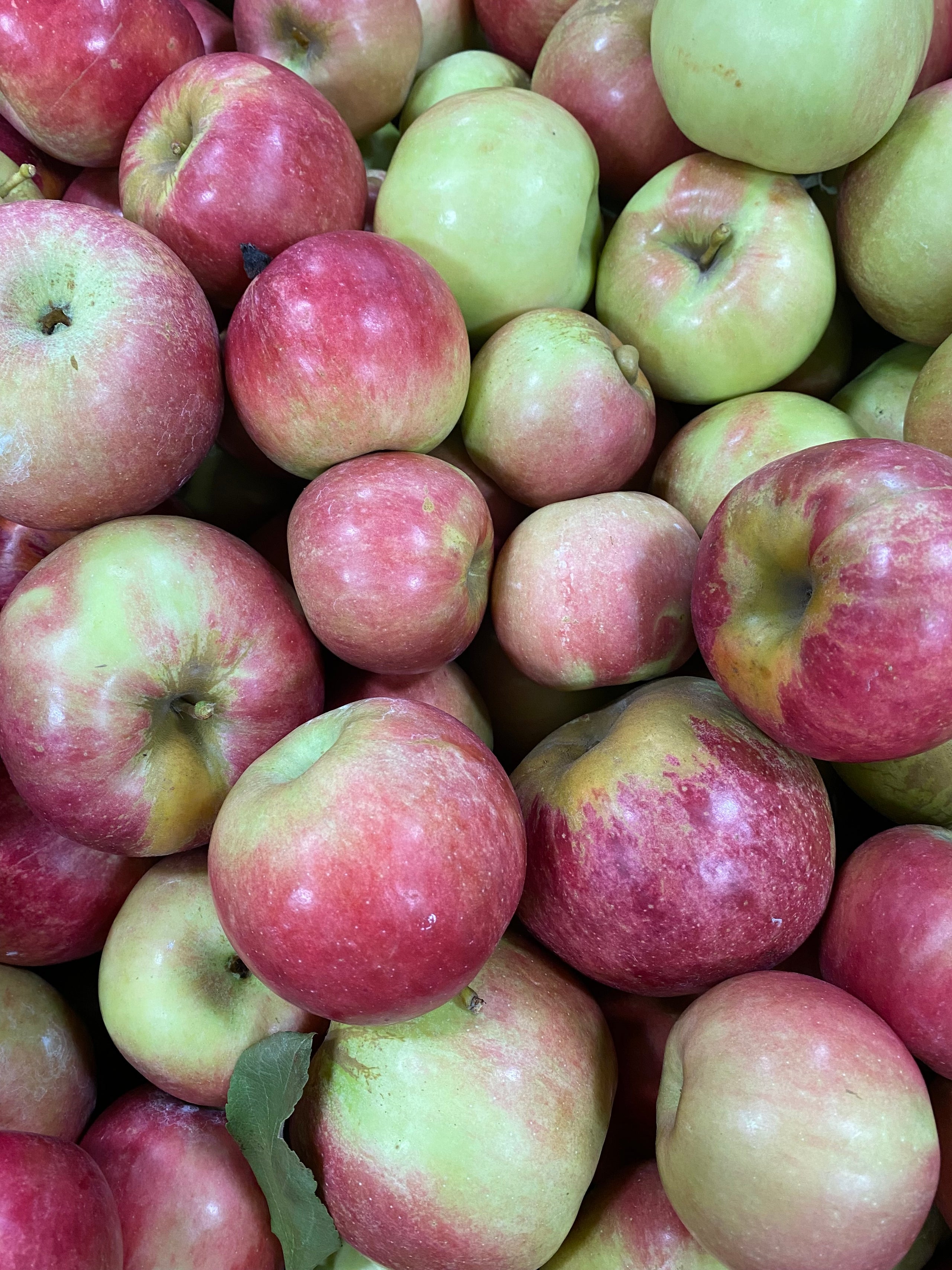 Ida Red | Schultz Fruitridge Farms