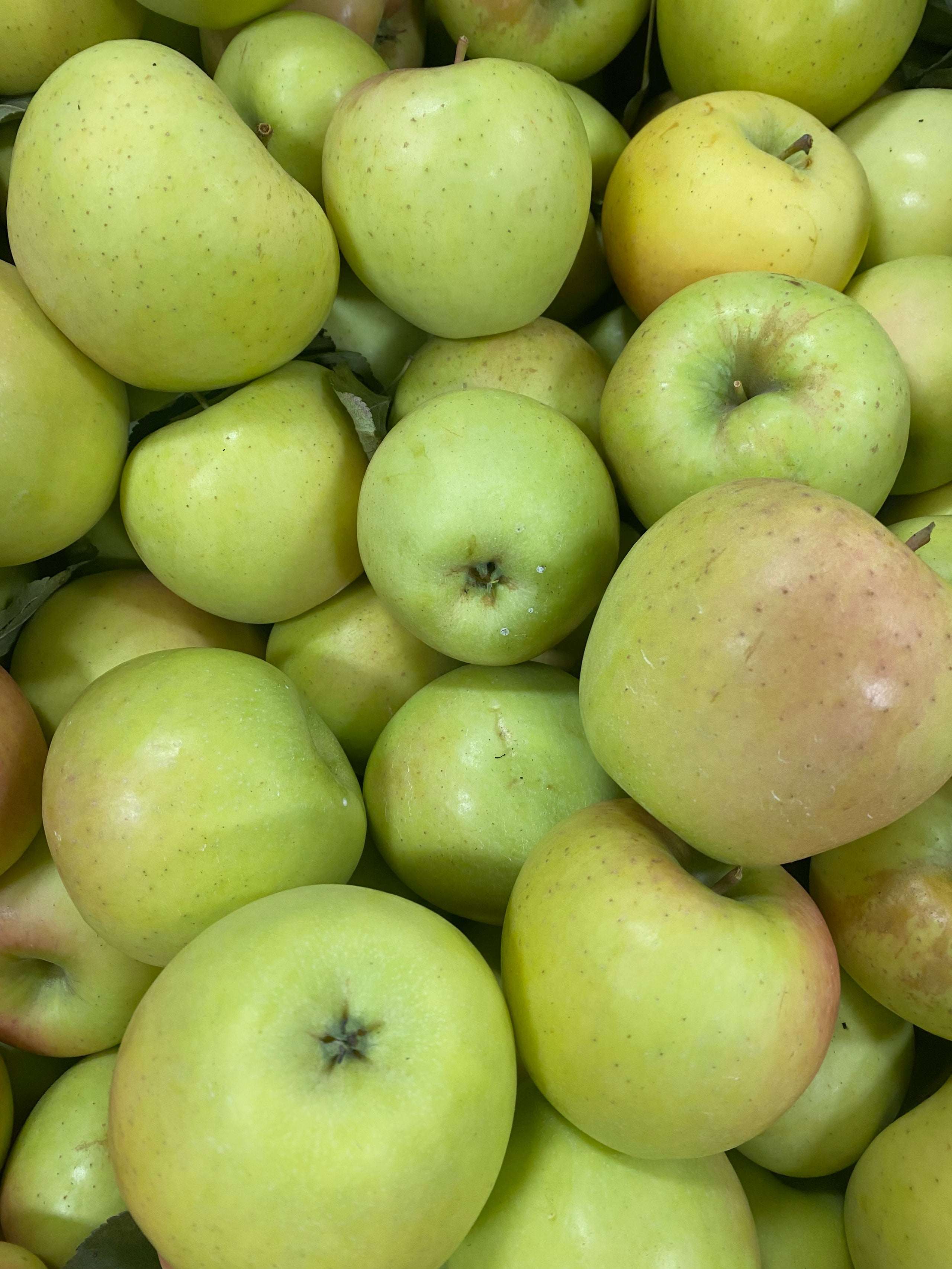 Crunch-A-Bunch | Schultz Fruitridge Farms